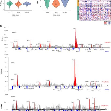 Comparisons Of Genomic Features Among The Sarcoma Subtypes In