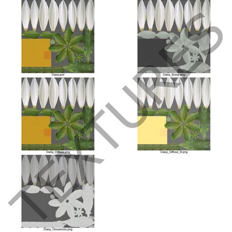 Daisy 3d Model 79 Ma C4d 3ds Lwo Obj Max Free3d