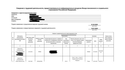 Электронная трудовая книжка 2025 что это как выглядит как на нее