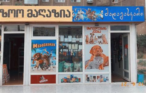 ზოო მაღაზია მადაგასკარი რუსთავი Rustavi