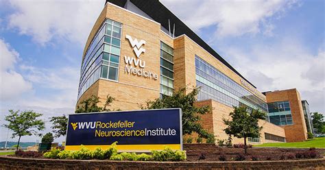 Wvu Researchers Build 3d Model To Improve Neurological Treatments Wvu