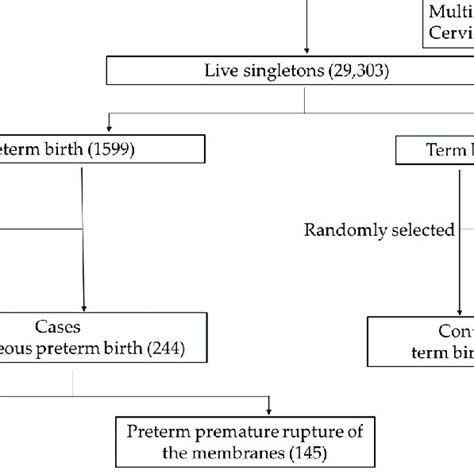Flow Diagram Of The Selection Of Cases And Controls From The Cohort Download Scientific Diagram