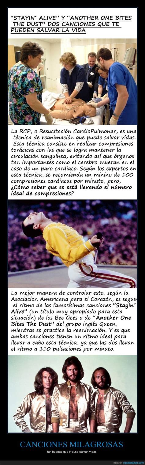 ¡cuánta Razón ¿sabÍas Que “stayin´ Alive” Y “another One Bites The