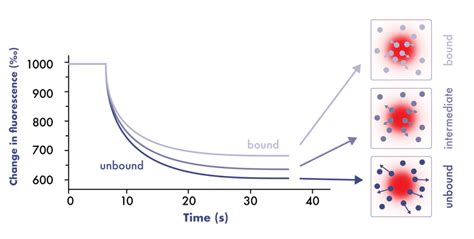 Mst Assays For Drug Discovery Reaction Biology