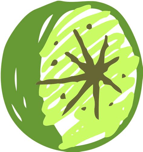 Sketched Lime Image Public Domain Vectors