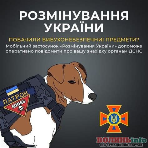 В Україні запустили мобільний застосунок «Розмінування України ВолиньІнфо