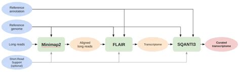 Stringtie2 Vs Flair Decoding Long Read Seq Transcriptomes