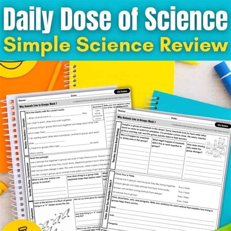 31 Classroom Routine Examples For Your School Day