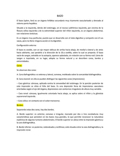Bazo Resumen Del Bazo Anatomía Bazo El Bazo Splen Lien Es Un