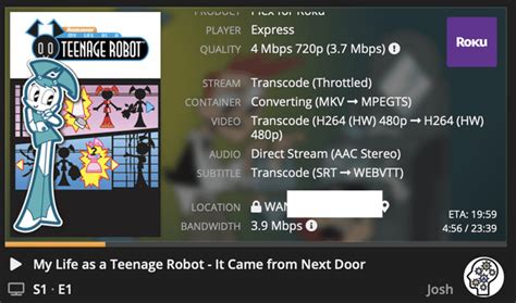 Why Is This Transcoding Rplex