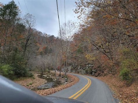 Panther State Forest A Breathtaking Drive Through West Virginia