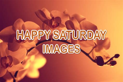 Happy Saturday Images Beautiful Saturday Pictures SuperbWishes