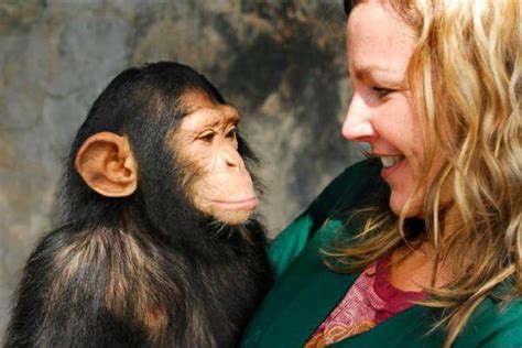 Humans And Chimpanzees Share 99 Of The Same Dna This Is The 1