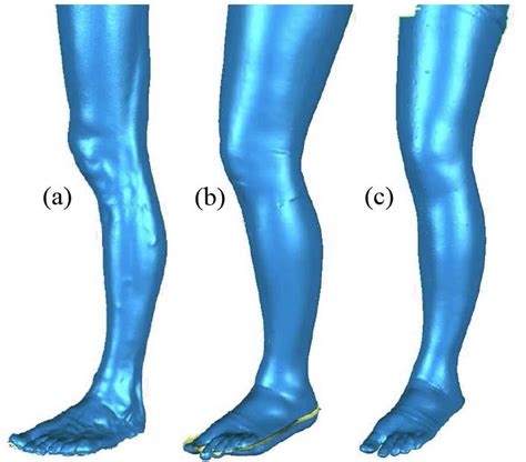 lower limb scanning results a artec mh b atos i c zsnapper