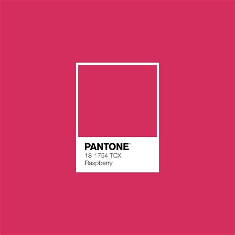 Raspberry Color Pantone