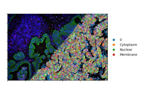 Tutorials — Spatialdata