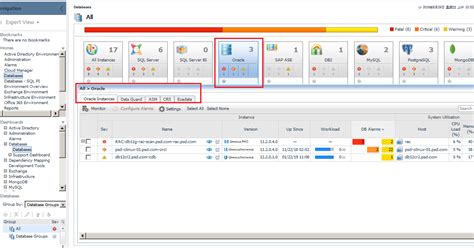 How To Foglight Pi For Oracle 設定asm監控