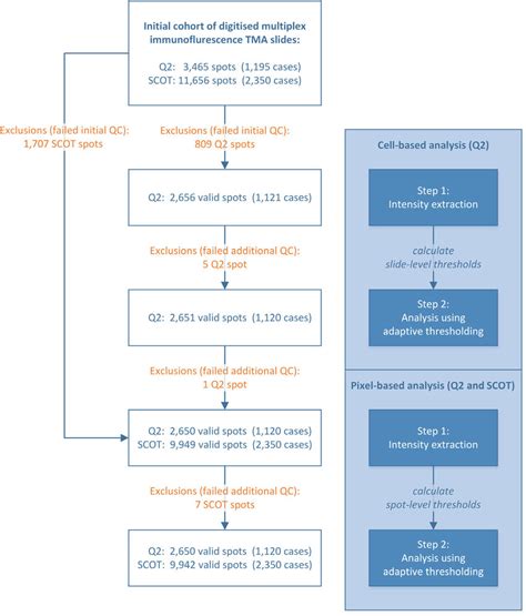 Schematic Analysis Workflow Schematic Visualisation Of The Analysis