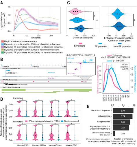 Temporal Shifts Between Enhancer And Promoter Activity A Smoothed