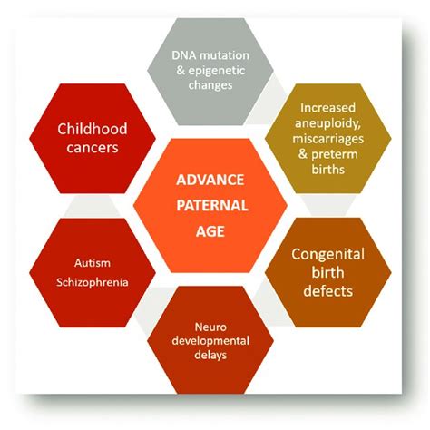 Comparison Of Icsi Outcomes Between Group A Paternal Age Download