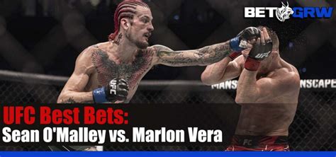 Sean Omalley Vs Marlon Vera Ufc 299 Betting Picks And Prediction For