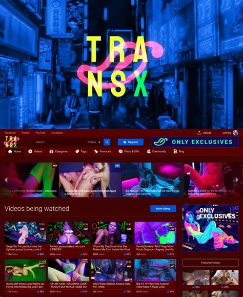 Adult Turnkey Website Vicetemple