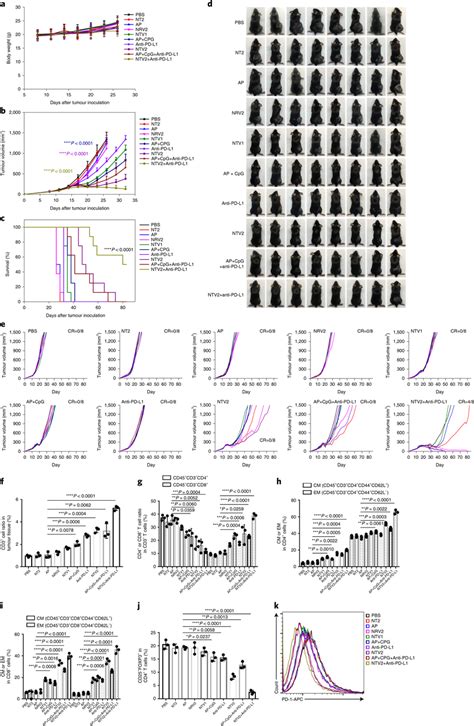 Neoantigen Peptide Loaded Ntv2 In Combination With Anti Pd L1 For Download Scientific Diagram