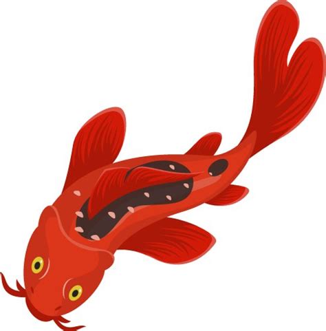 Koi Carps Realistic Fish Eastern Symbol Royalty Free Vector