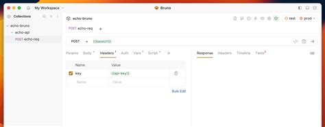Global Environment Variables Bruno Docs