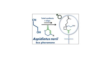 Synthesis Of The Sex Pheromone Of The Oleander Scale Aspidiotus Nerii