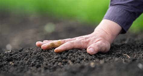 Ansis Use Case National Map Of Soil Organic Carbon Sequestration