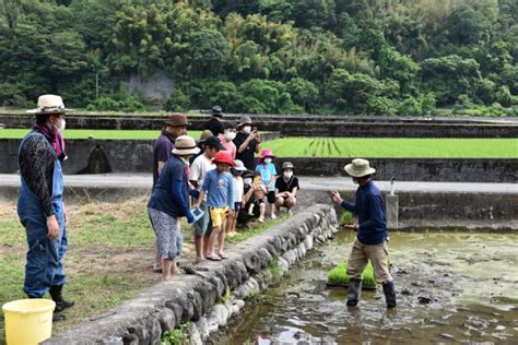 稲作①田植え直後田んぼにぬかを播いてみた話 はなさかひろとのしごと｜神奈川県山北町発！仕事と田舎のローカルメディア