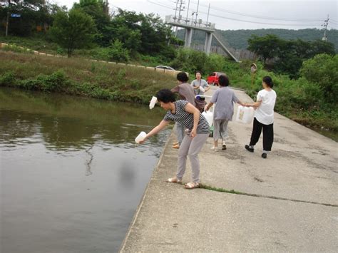 안양천 정화 활동 지구사랑 작은실천