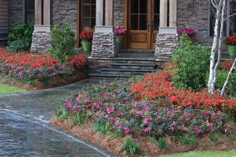 Design And Projects Articles Encore Azalea