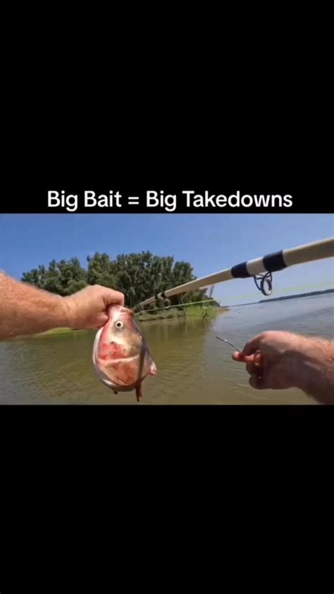 When You Launch A Monster Bait This Is What We Hope Happens 💪🏼💪🏼
