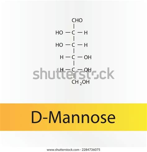 Straight Chain Form Chemical Structure Dmannose Stock Vector Royalty