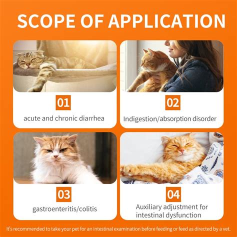 Puainta® Cat Dry Food For Sensitive Stomach