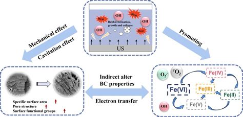 Novel Enhanced Defluorination Of Perfluorooctanoic Acids By Biochar