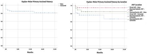 Preoperative Mapping And Multidisciplinary Team Are The Key To Success Of Arteriovenous Access