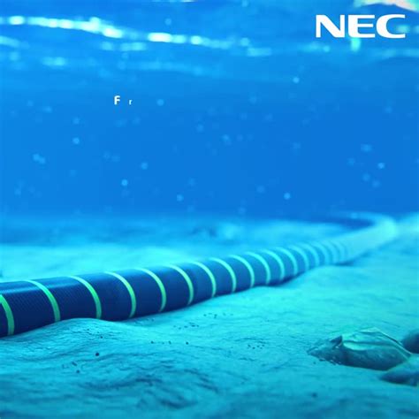 Nec Corporation India Pvt Ltd On Linkedin Nec Necindia India