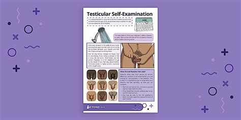 Testicular Self Examination Poster Check For Testicular Cancer