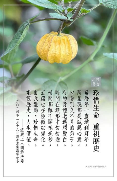 證嚴上人每日一叮嚀2024 03 01 1