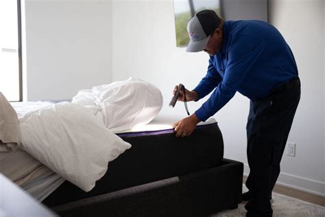 Dont Let Bed Bugs Bite A Comprehensive Guide To Effective Inspection