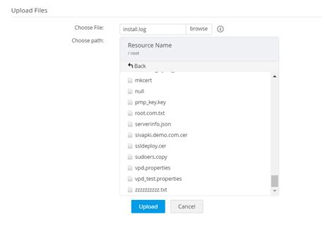Handling Files In Access Manager Plus