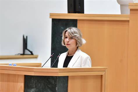ნინო ლომჯარიამ პარლამენტს ბოლო ყოველწლიური ანგარიში წარუდგინა Civil