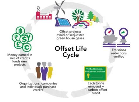 Carbon Offset Advisory Ecg Global Solutions