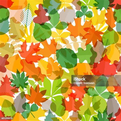 Différentes Couleurs Feuilles Dautomne Motif Sans Couture Vecteurs