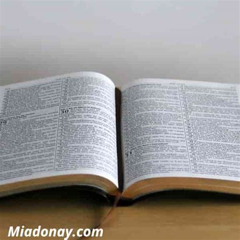 Qué Significa El Número 90 En La Biblia Datos Históricos Julio 2025