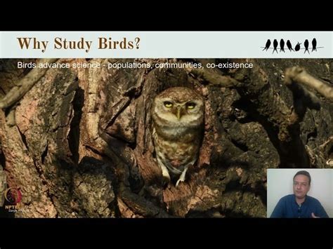 Free Video Introduction To Ornithology From Nptel Noc Iitm Class Central