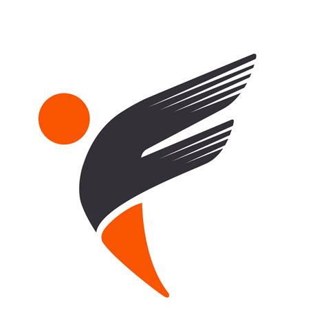 Flexion Infotech Pvt Ltd Surat